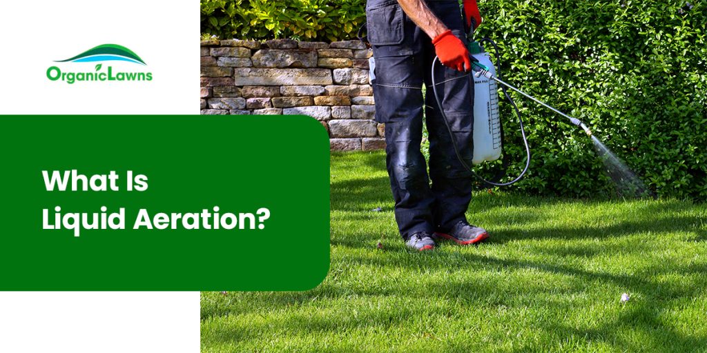 What Is Liquid Aeration for Maryland Lawns? - Organic Lawns