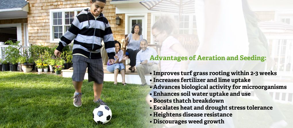 Lawn Aeration and Seeding Services | Organic Lawns in Maryland