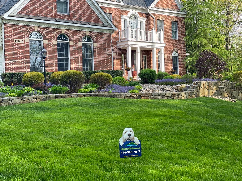Slice Seeding | Maryland Lawn Care Company - Organic Lawns