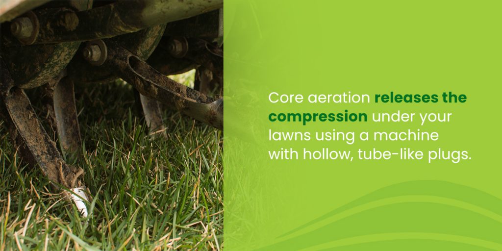 Top Benefits of Core Aeration in the Fall - Organic Lawns