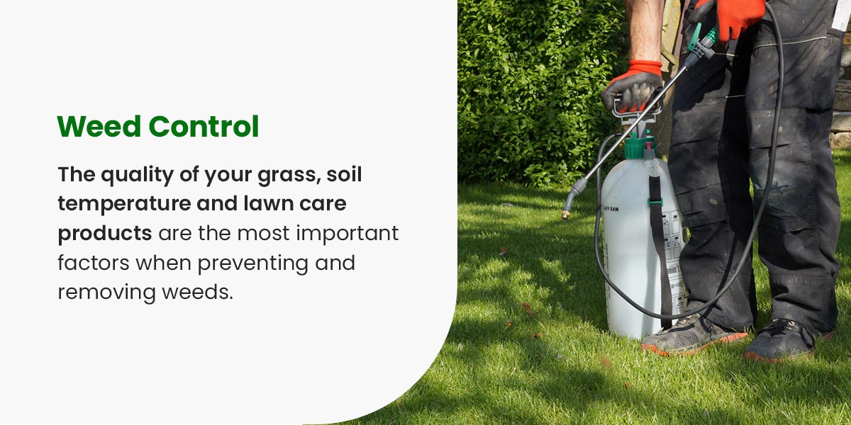 Fall Lawn Care Tips for Your Maryland Lawn - Organic Lawns