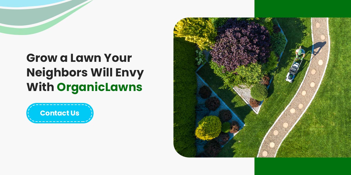 Fall Lawn Care Tips for Your Maryland Lawn - Organic Lawns