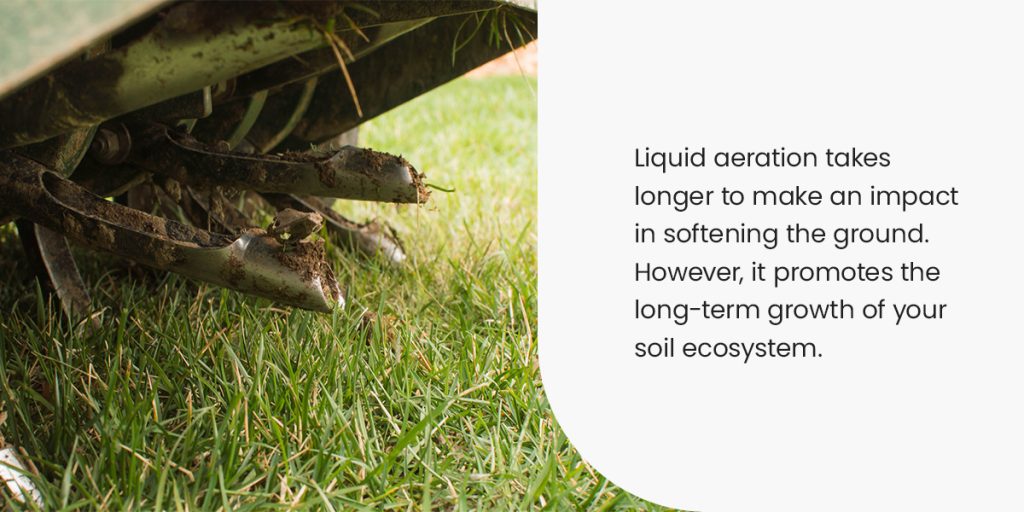 Core Aeration vs. Liquid Aeration: What's the Difference?